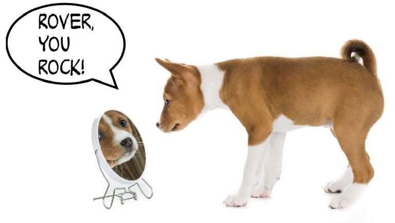 Don’t talk to yourself like that! | Kathy Stoddard Torrey